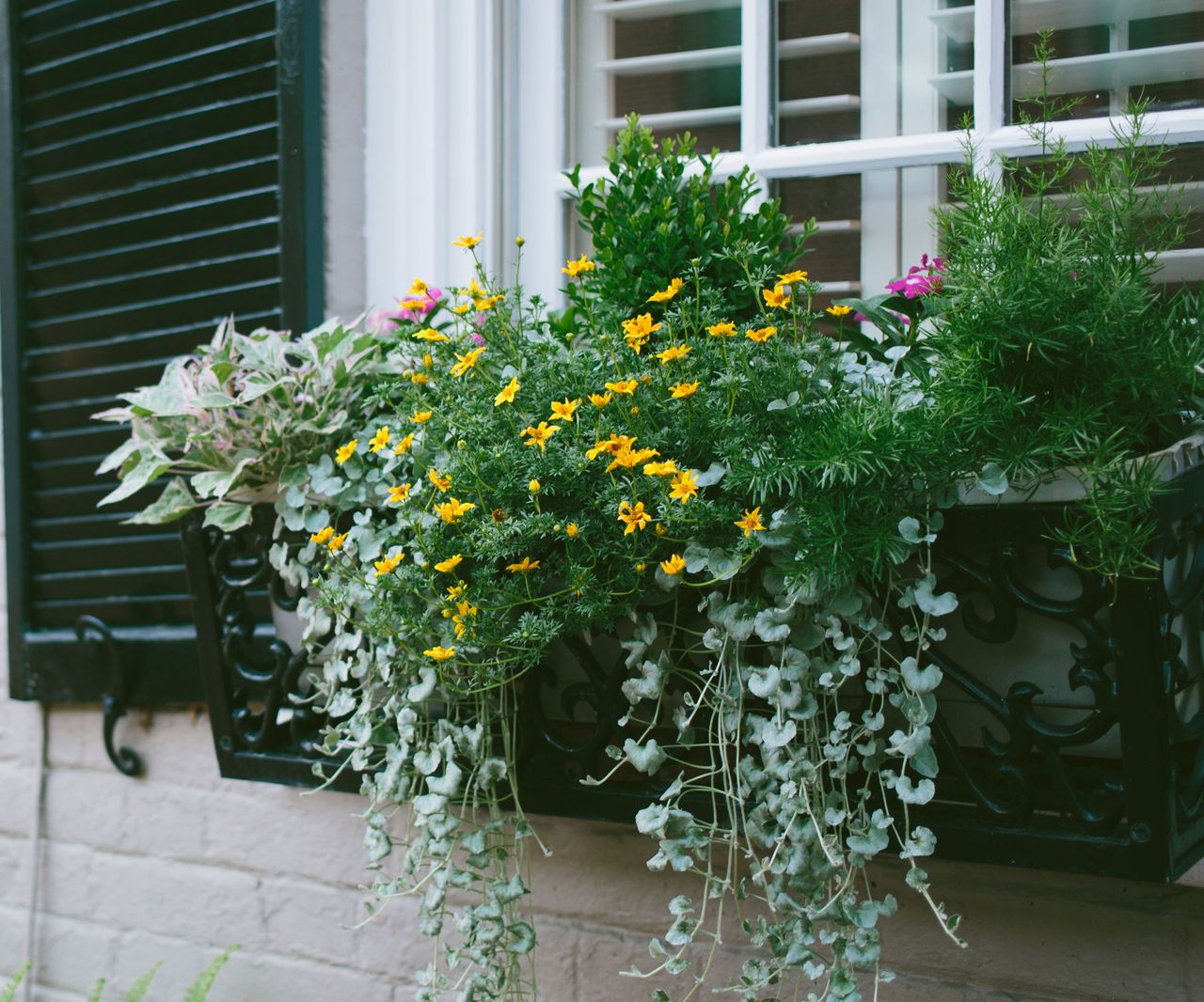 Spring window box ideas: 8 looks for a front yard glow-up | Homes and ...