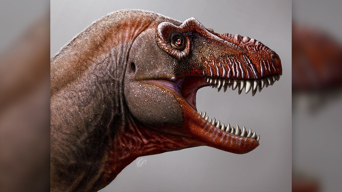 School bus-size 'Reaper of death' was an apex predator. Here's why that ...