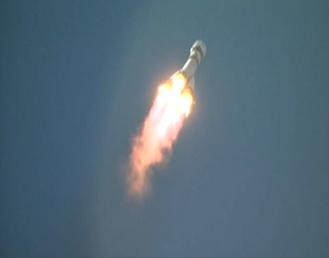 Russian Space Ark Returns Animal Astronauts to Earth, Some Mice ...