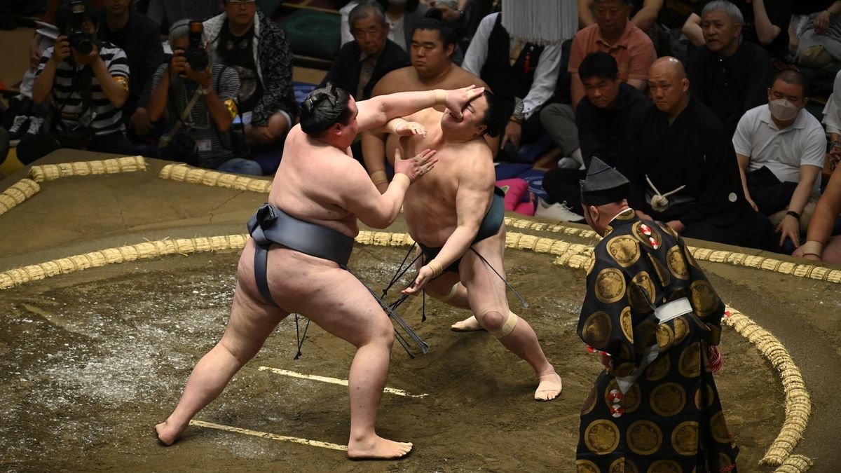 A sumo wrestler from Hull is the next big thing in British sport ...