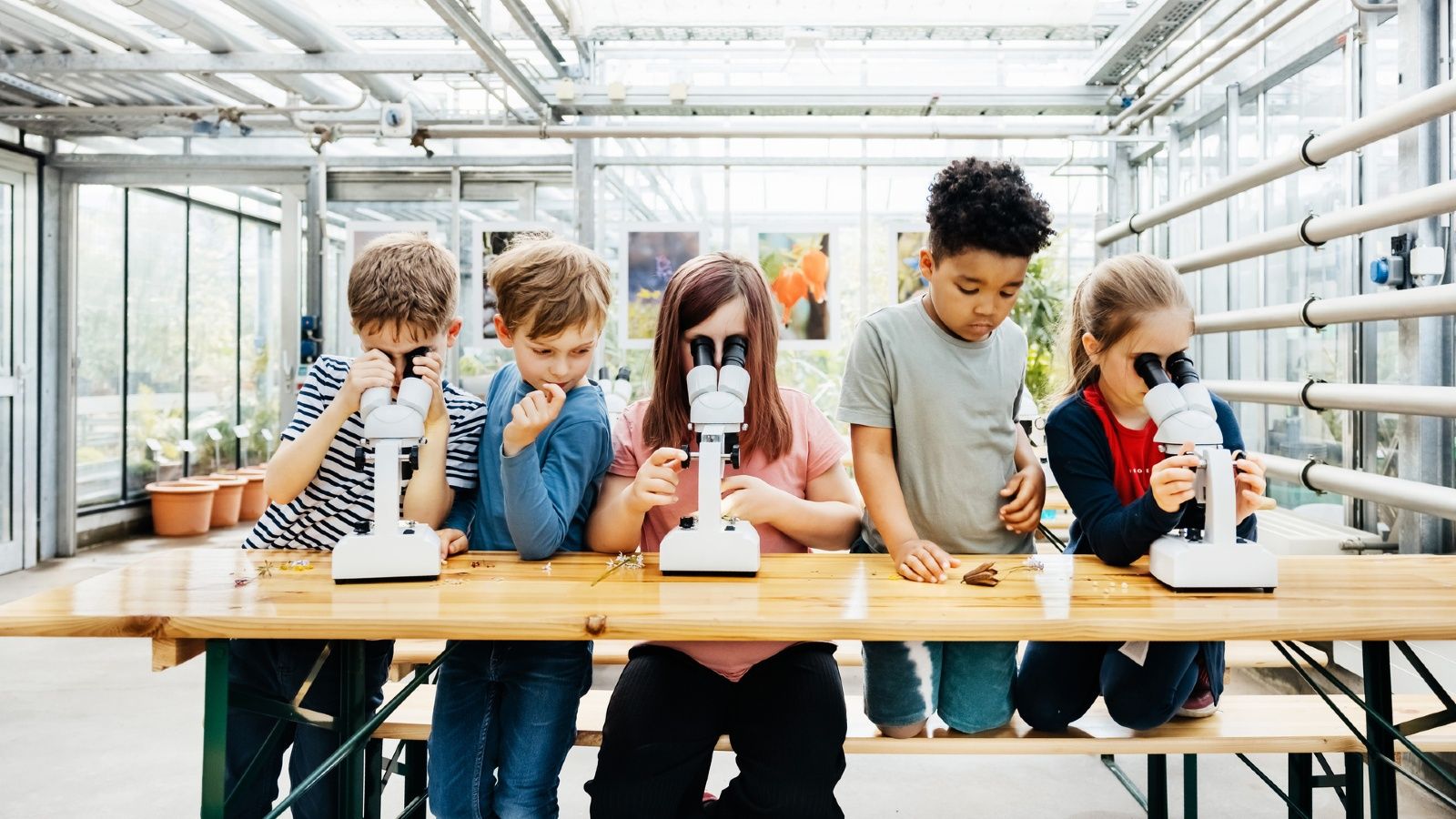 Education and STEM: News, features and articles | Live Science