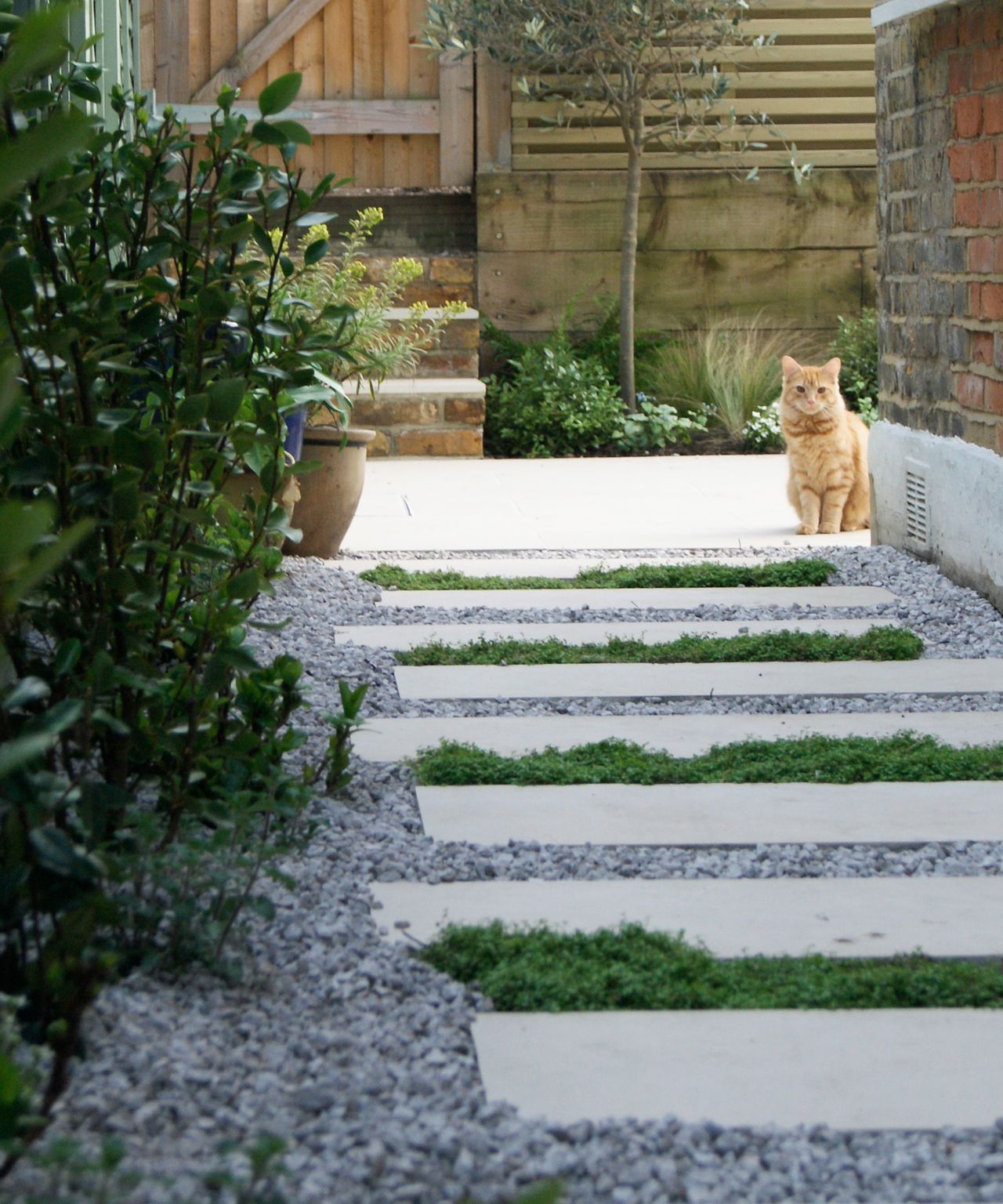 Learn the dos and don'ts of designing a path for your space | Gardeningetc