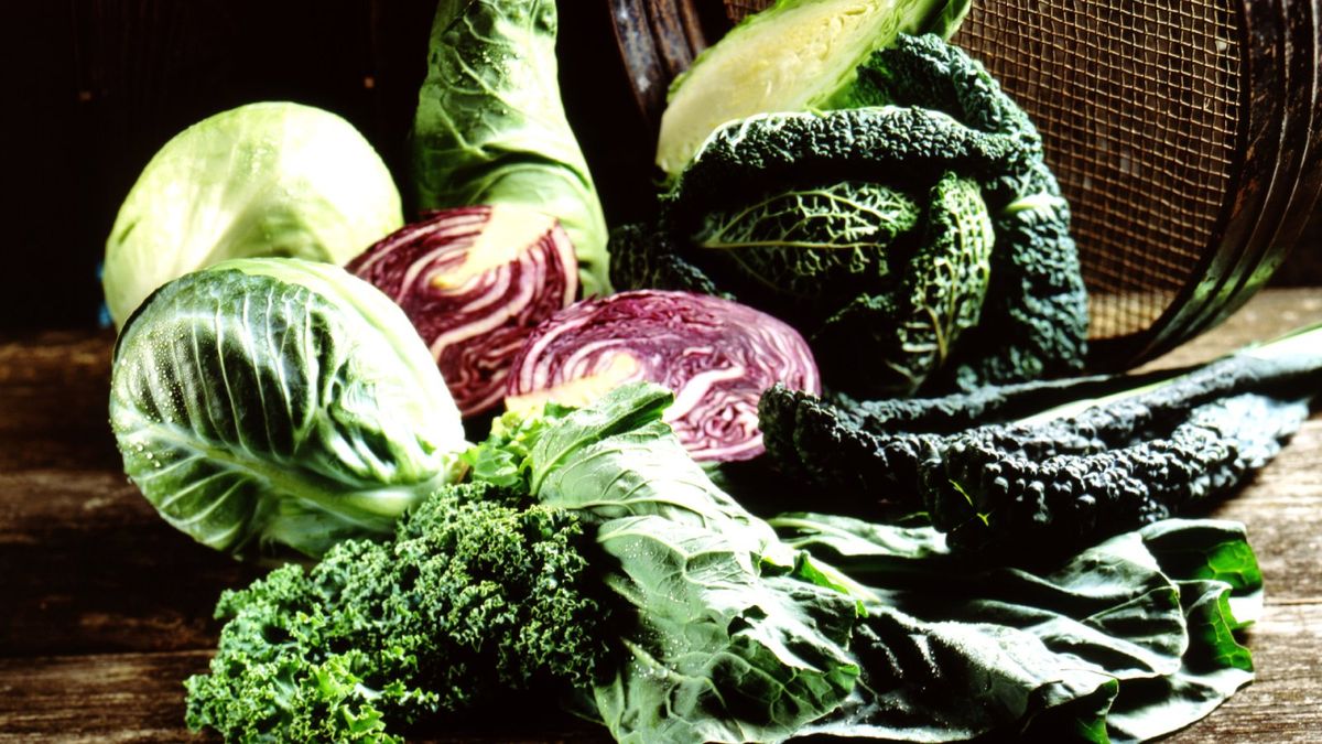 Different Kinds Of Cabbage: Popular Cabbage Varieties For The Garden ...