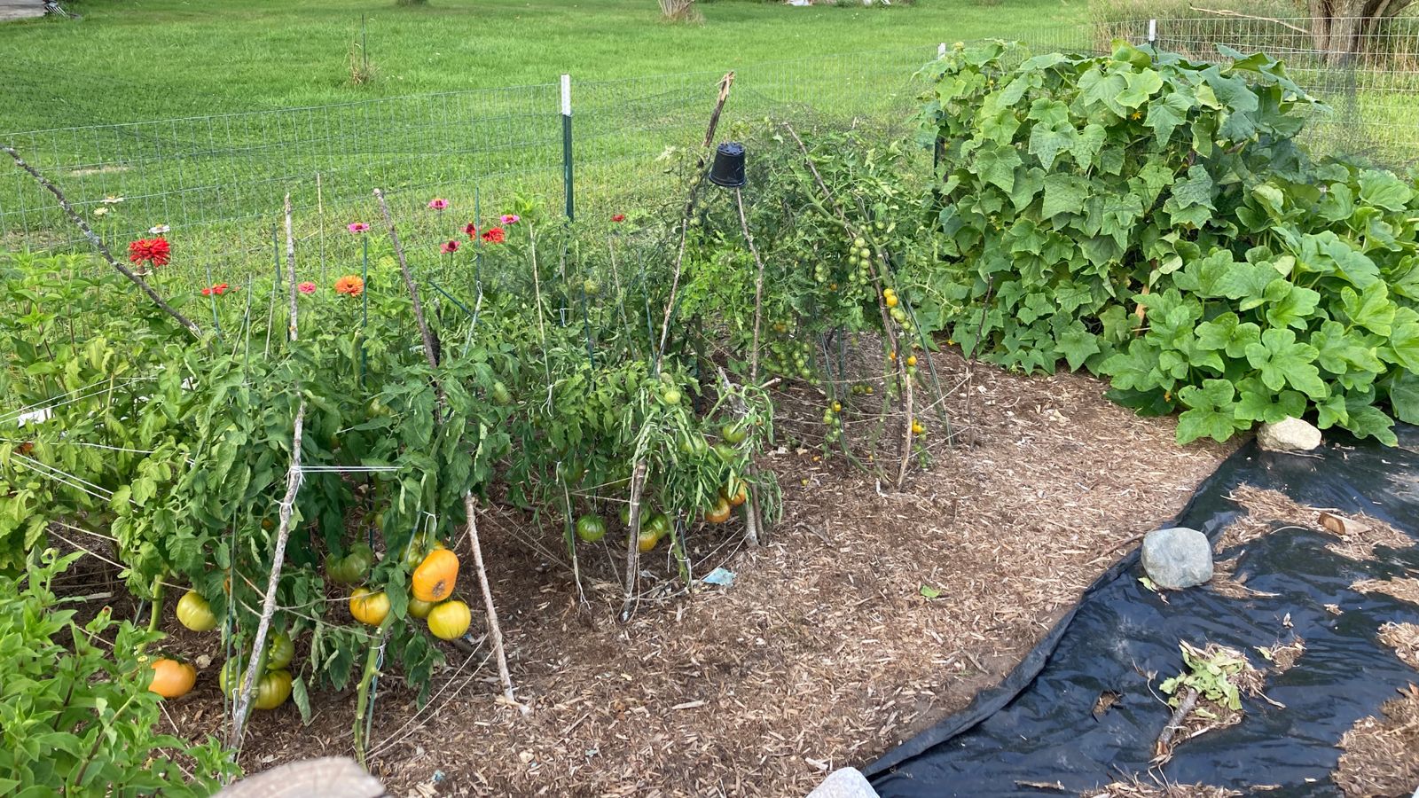 How To Turn An Overgrown Field Into A Garden Full Of Produce ...