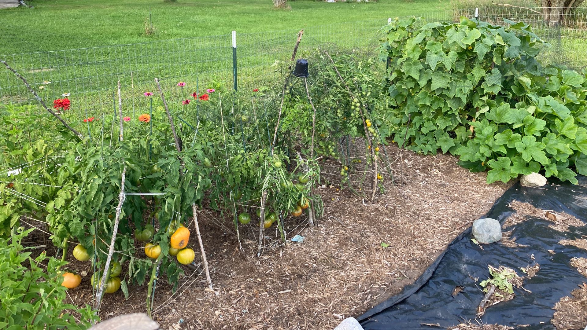 How To Turn An Overgrown Field Into A Garden Full Of Produce ...