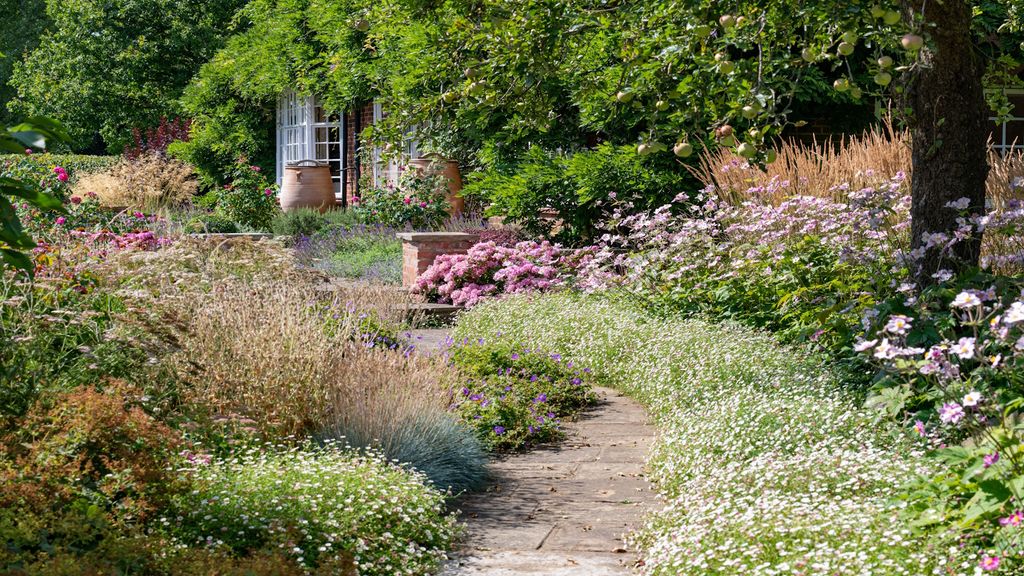 How to deter sweat bees: 3 expert-approved methods | Homes and Gardens
