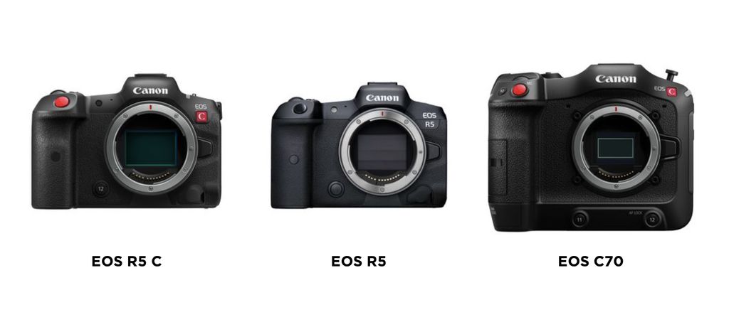5 key differences of the Canon EOS R5 C | Digital Camera World