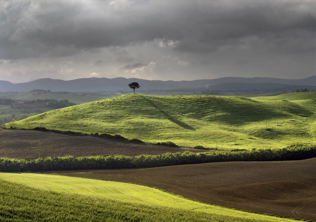 'If you get 12 great photographs a year, you're doing well': Charlie ...