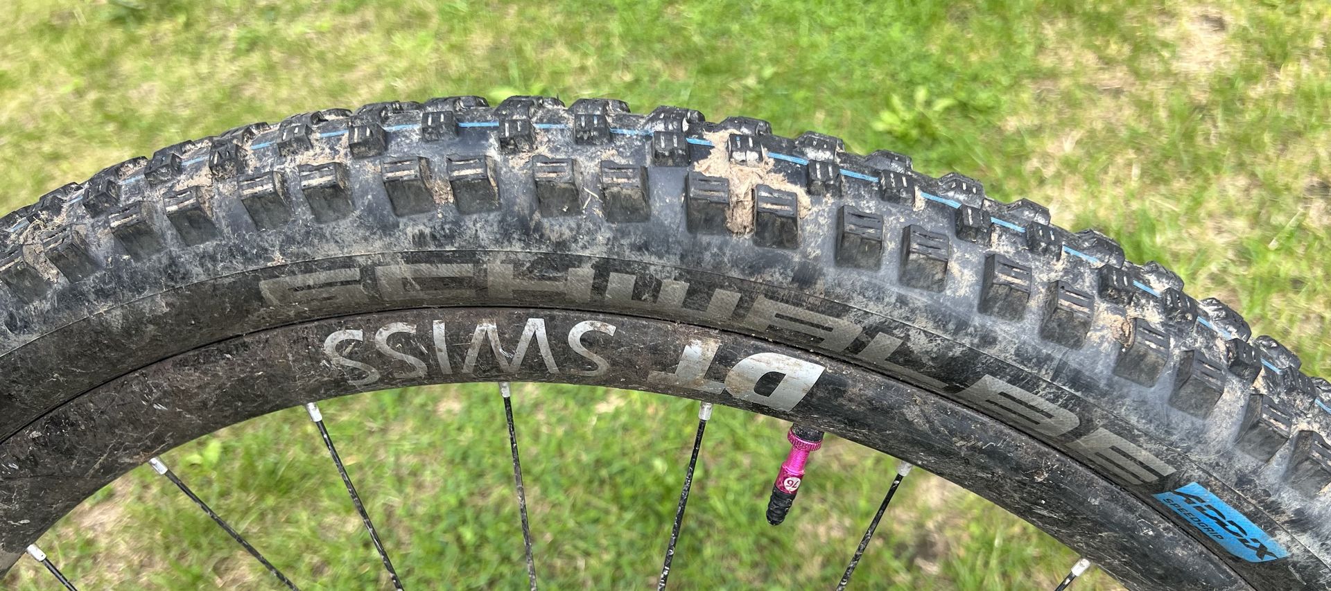 Schwalbe Wicked Will tire review –go faster Goldilocks rubber? | Bike ...