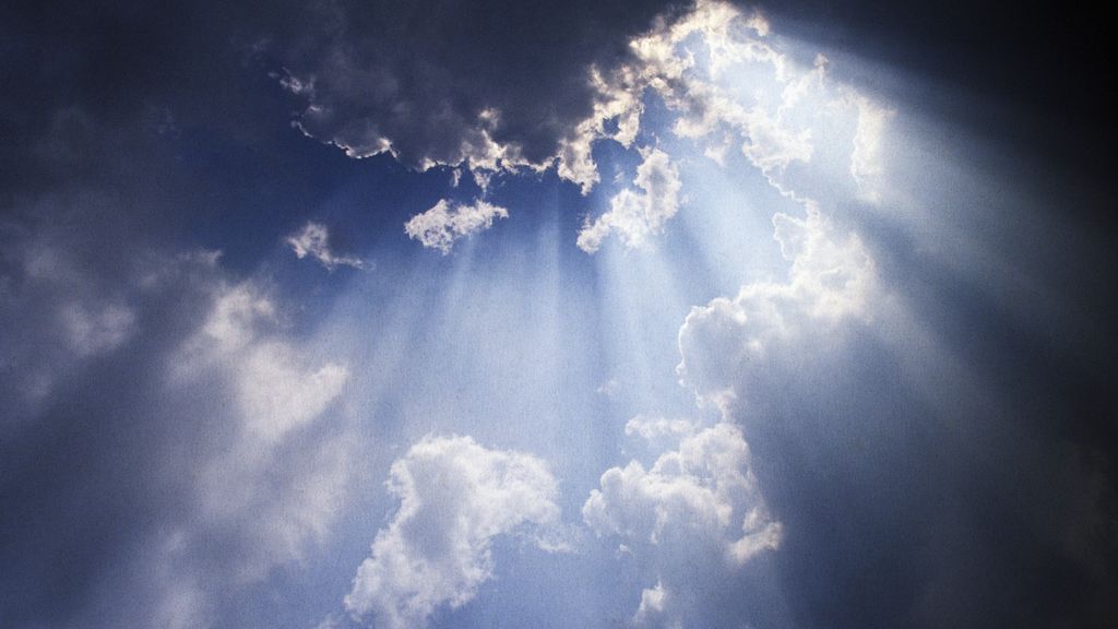 Albert Einstein facts: 32 fun and random things about the most famous ...