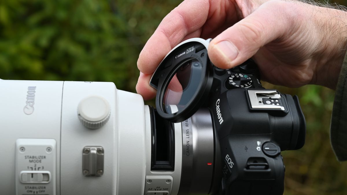 Canon RF 400mm f/2.8L IS USM review: if it ain’t broke, don’t fix it ...