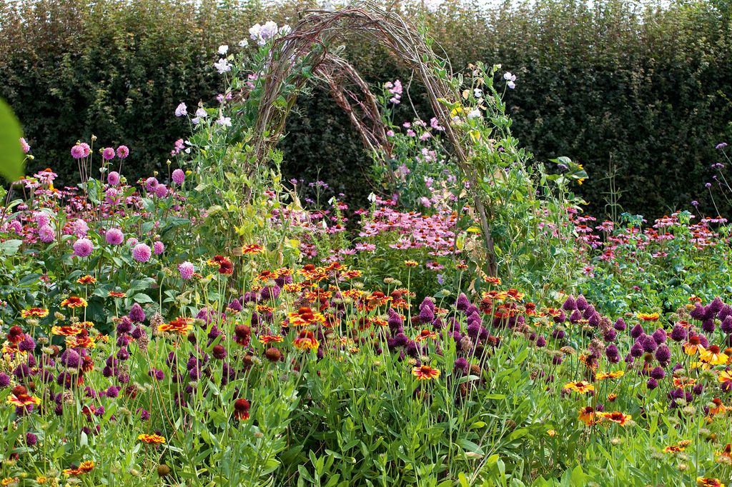 Planning a cut flower garden: top tips for beautiful blooms | Homes and ...