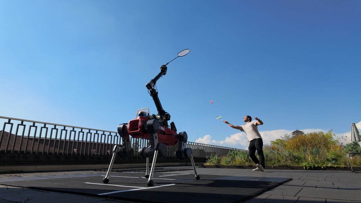 Scientists taught an AI-powered 'robot dog' how to play badminton ...