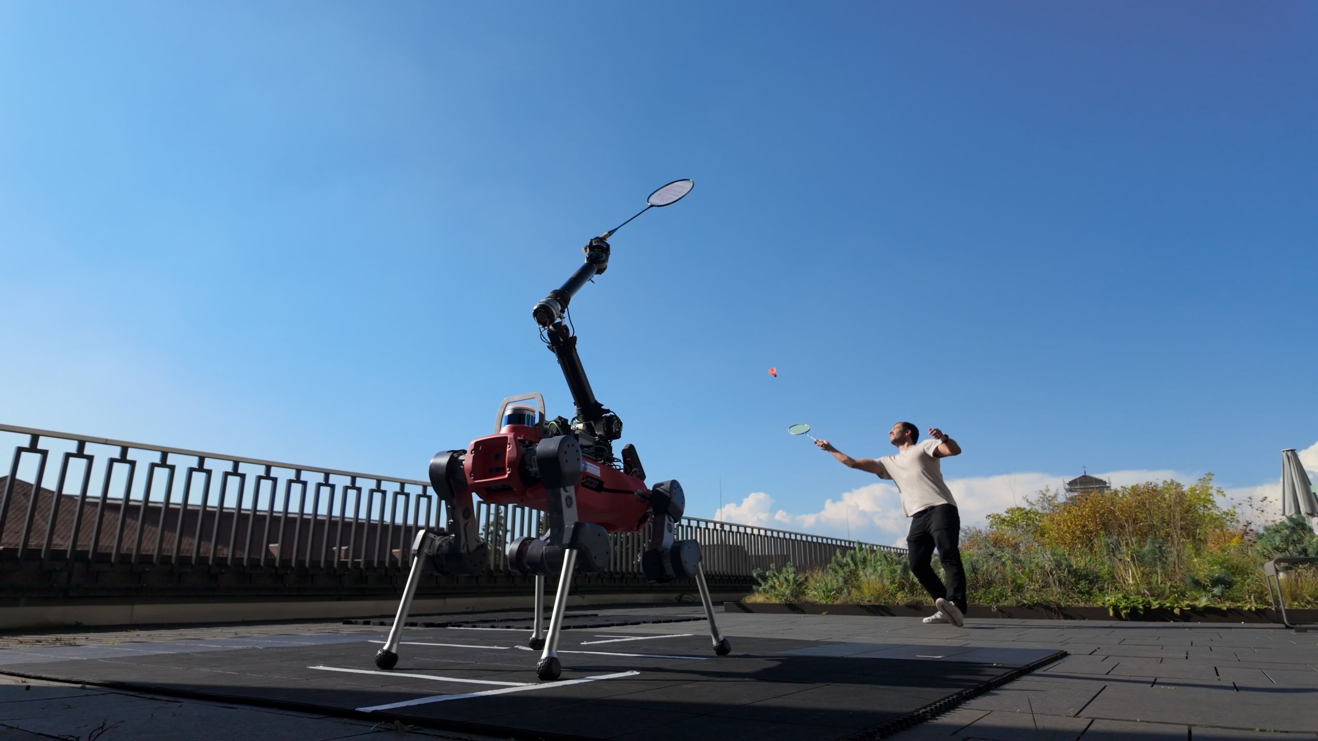 Scientists taught an AI-powered 'robot dog' how to play badminton ...