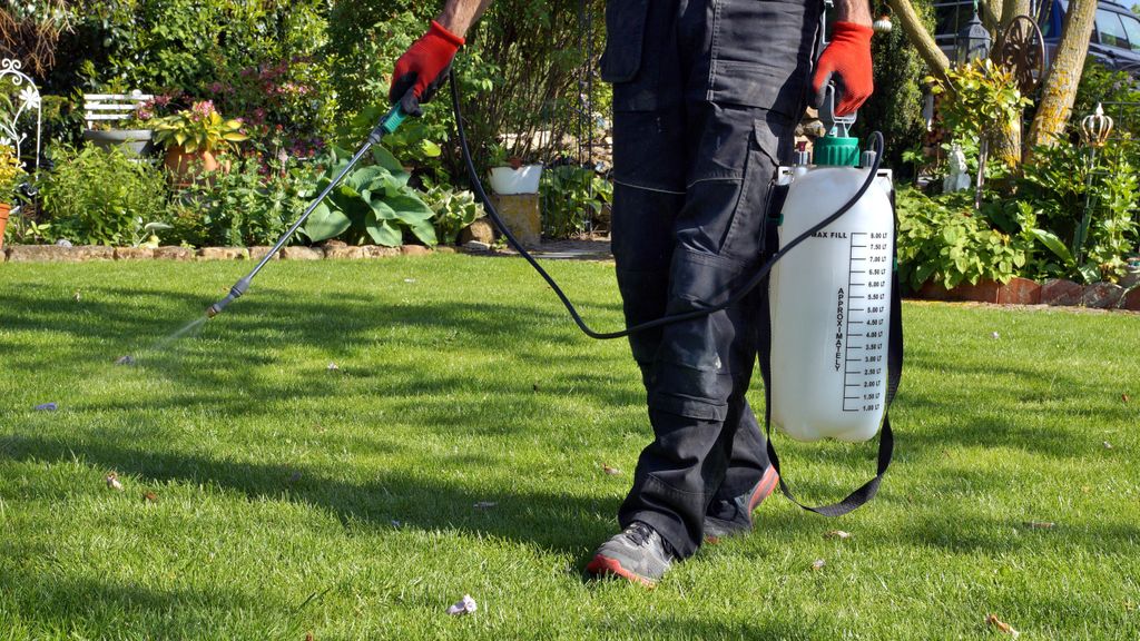 How to get rid of lawn grubs for a pest-free backyard | Tom's Guide