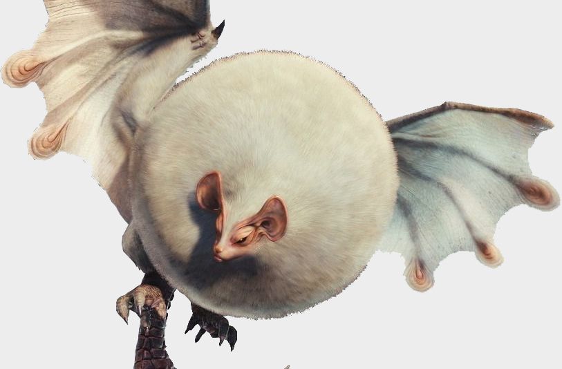 Monster Hunter: World monster list | PC Gamer