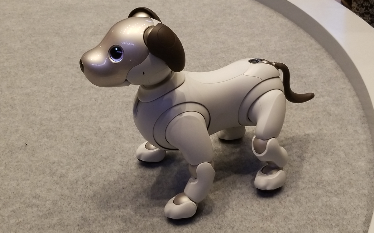 Cloud-Connected, AI-Powered Aibo Coming to US for $2,899 | Tom's Hardware