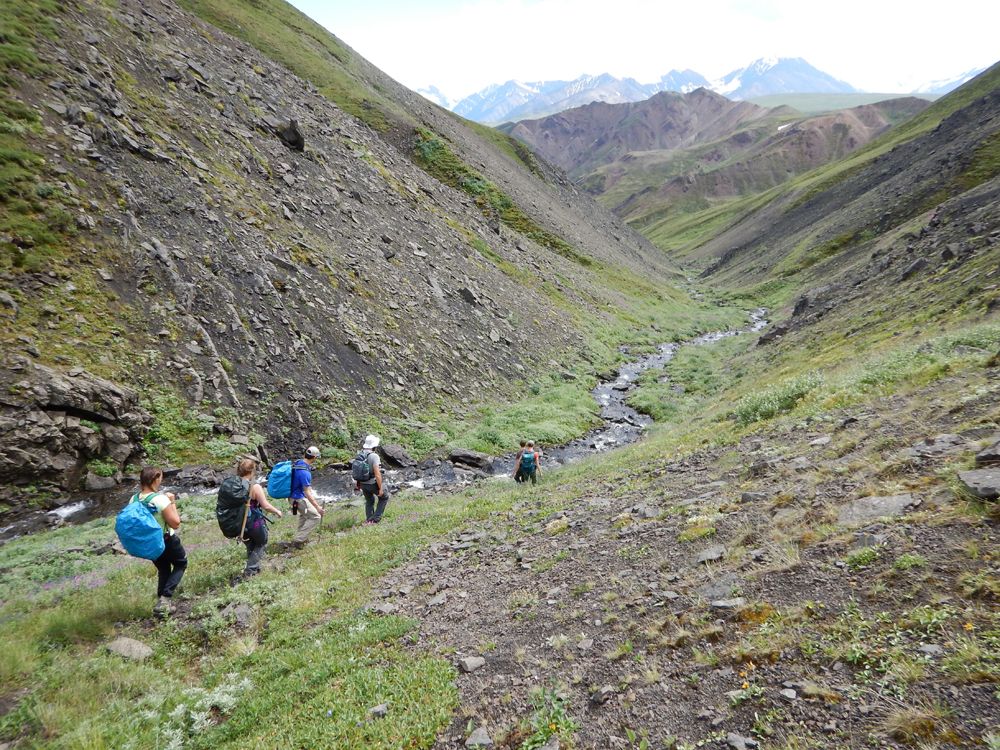 Photos: See the 1st Dinosaur Bones Ever Found in Alaska's Denali ...