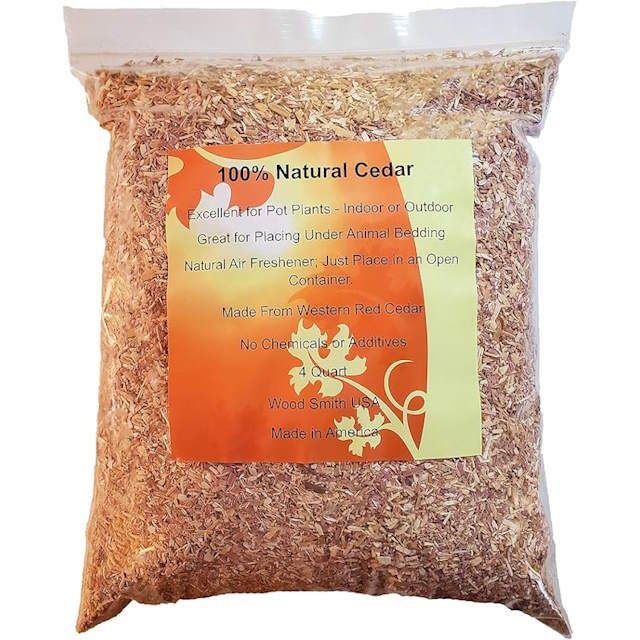 How to fertilize fruit trees: expert tips for feeding plants | Homes ...