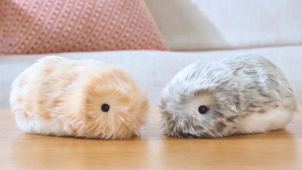 Casio has made a robot guinea pig and it's as cute as heck | T3