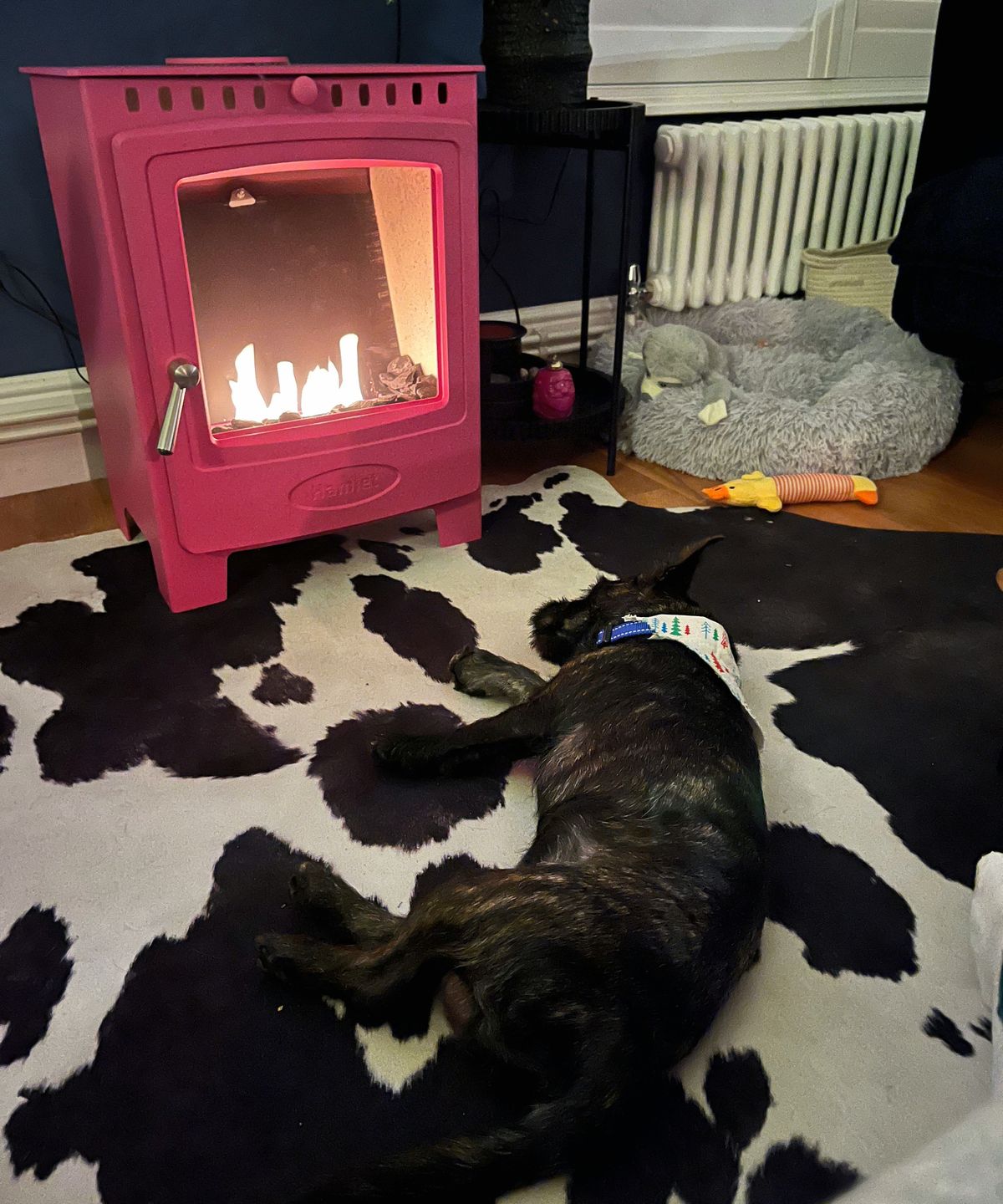 Arada Hamlet Solution 5 Bioethanol Stove review | Homebuilding