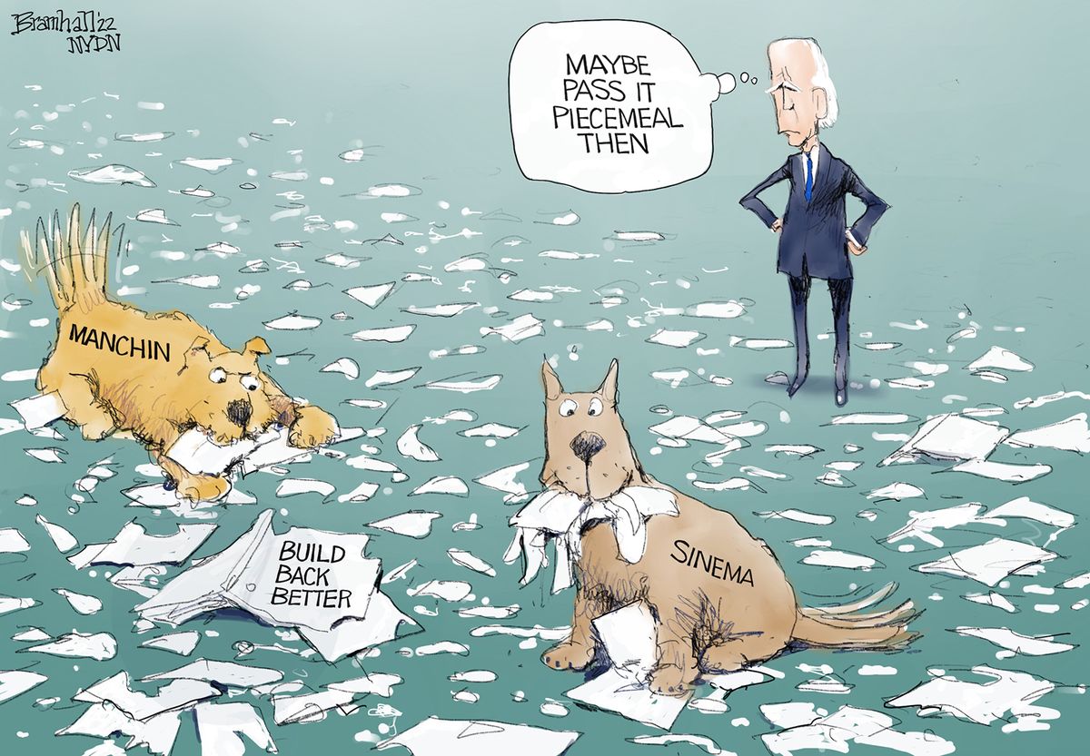 Bad dogs!!! | The Week