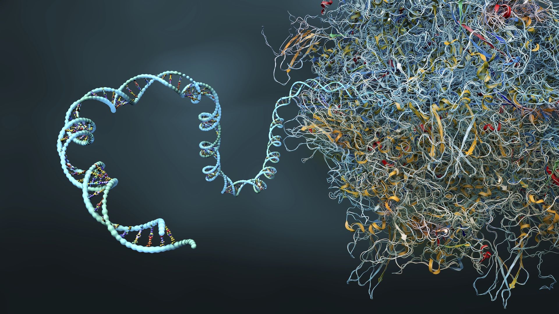 IBM and Moderna have simulated the longest mRNA pattern without AI — they used a quantum ...