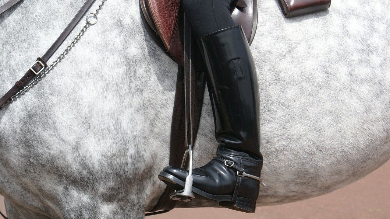 Best riding boots: Long or short, find what suits you best | PetsRadar