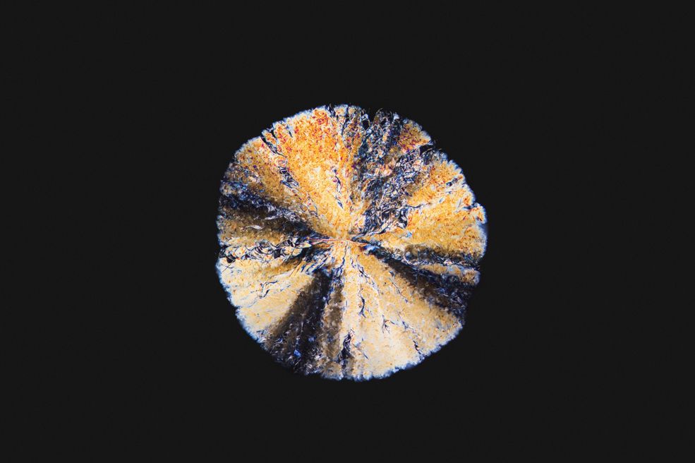 This is what ecstasy looks like under a microscope | The Week