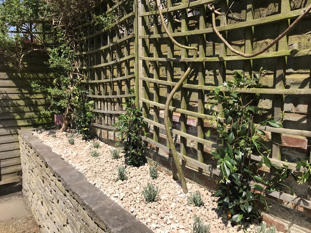 Before & after: Overgrown garden gets a glow up to become a charming ...