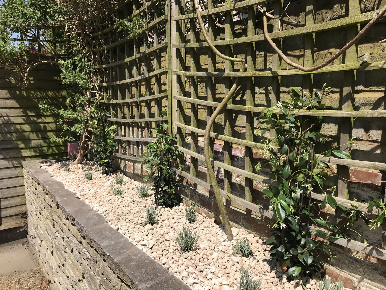 Before & after: Overgrown garden gets a glow up to become a charming ...