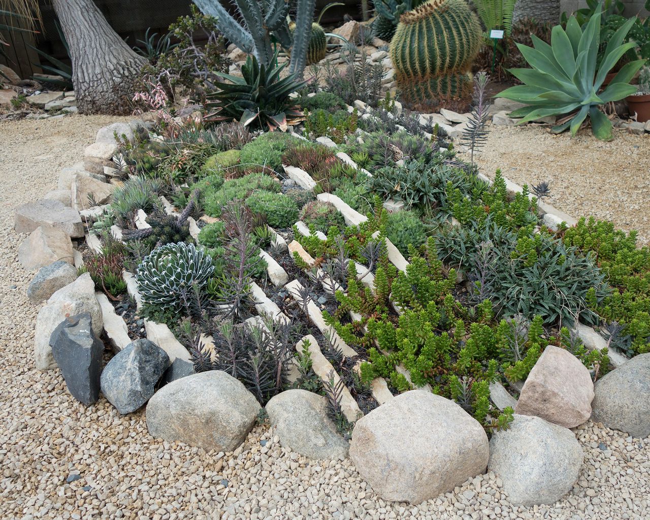 Succulent garden ideas: 14 looks for a stylish outdoor oasis | Gardeningetc