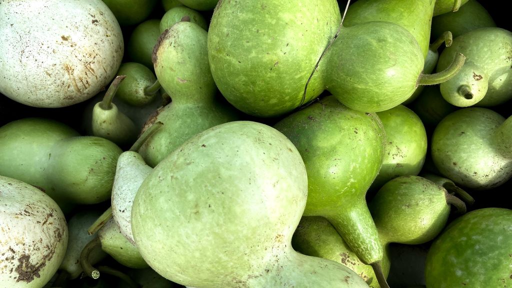 Diagnostic dilemma: A woman's homemade juice led to life-threatening ...