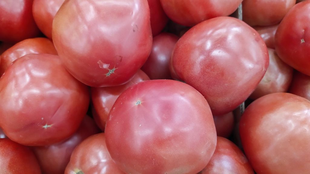 History Of German Pink Tomato Plants | Gardening Know How