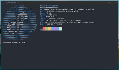 How to install Fedora on WSL for Windows 10 and Windows 11 | Windows ...