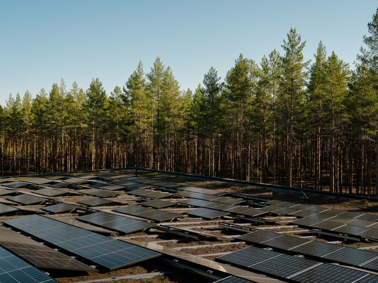 Sustainable factory The Plus opens in a Norwegian forest | Wallpaper*