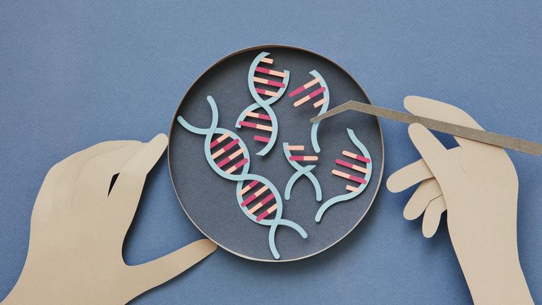 Pros and cons: gene-editing | The Week