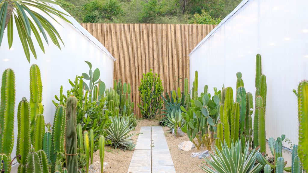 Desert landscaping ideas: 12 design and plant tips to try | Homes and ...