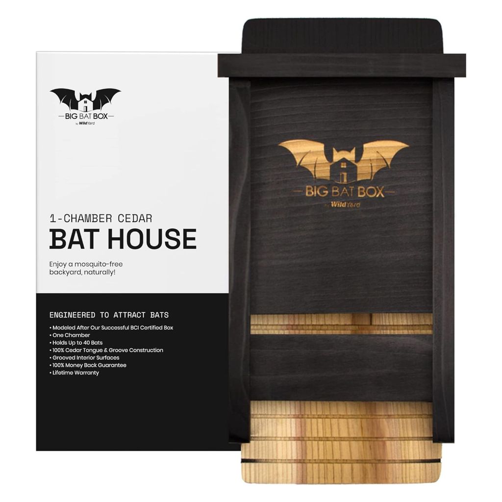 How to encourage more bats in your garden with a bat box | Ideal Home