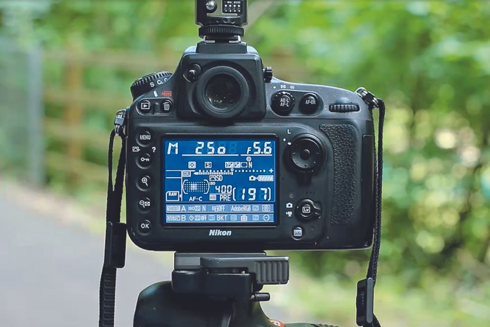 How to take striking images with a fisheye lens | Digital Camera World