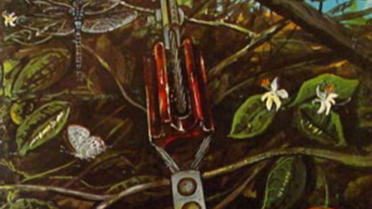 Deep cuts: Dragonfly – the '60s band that gave Blue Cheer a run for ...