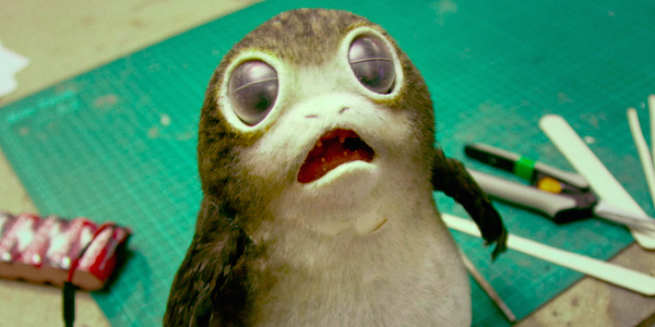 Every Porg Moment From The Last Jedi, Ranked | Cinemablend