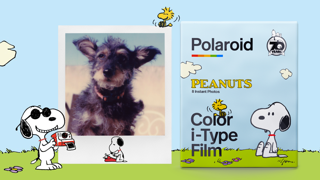 Polaroid launches Snoopy-themed film to celebrate 70 years of Peanuts ...