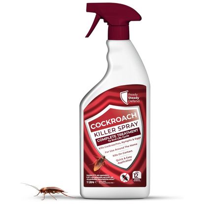 How to get rid of cockroaches | Ideal Home
