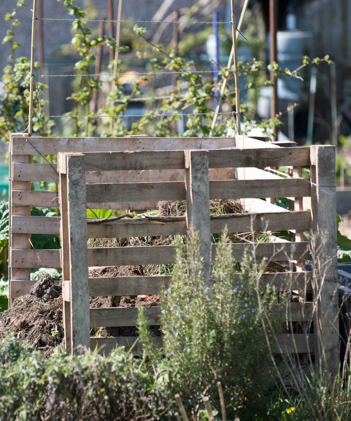 Garden pros reveal how to make a compost bin out of pallets | Homes and ...