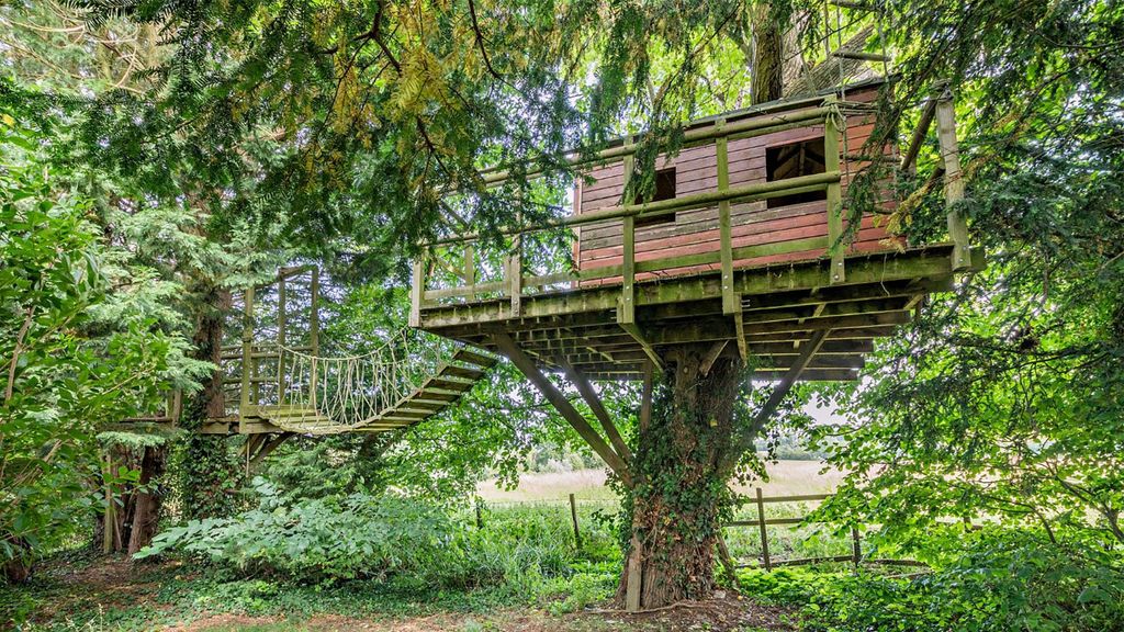 Treehouses are 'catnip for the incurable romantic' — and these two on ...