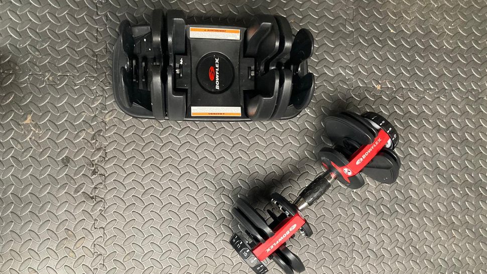 Bowflex SelectTech 552 adjustable dumbbells review | Live Science