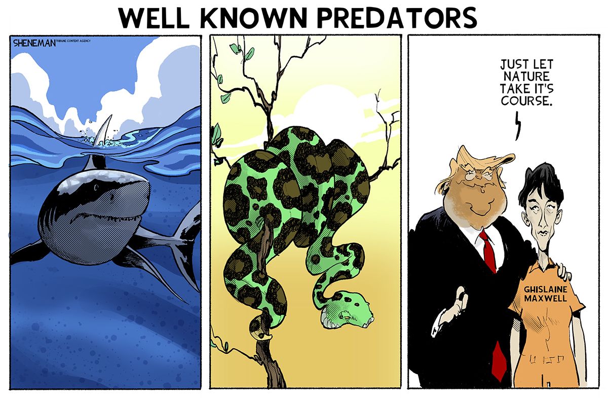 5 inexcusably hilarious cartoons about Ghislaine Maxwell angling for a ...