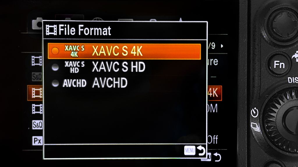 Wildlife photography with a twist: Capture birds in flight with this ...