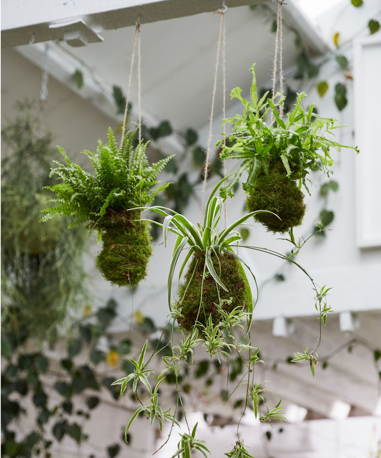 How to grow moss indoors: 3 inspiring ideas | Homes and Gardens